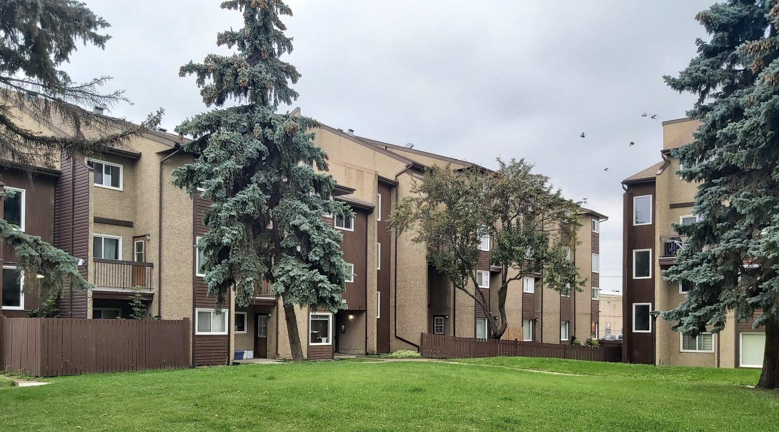 Edmiston Apartments | Right At Home Housing Society